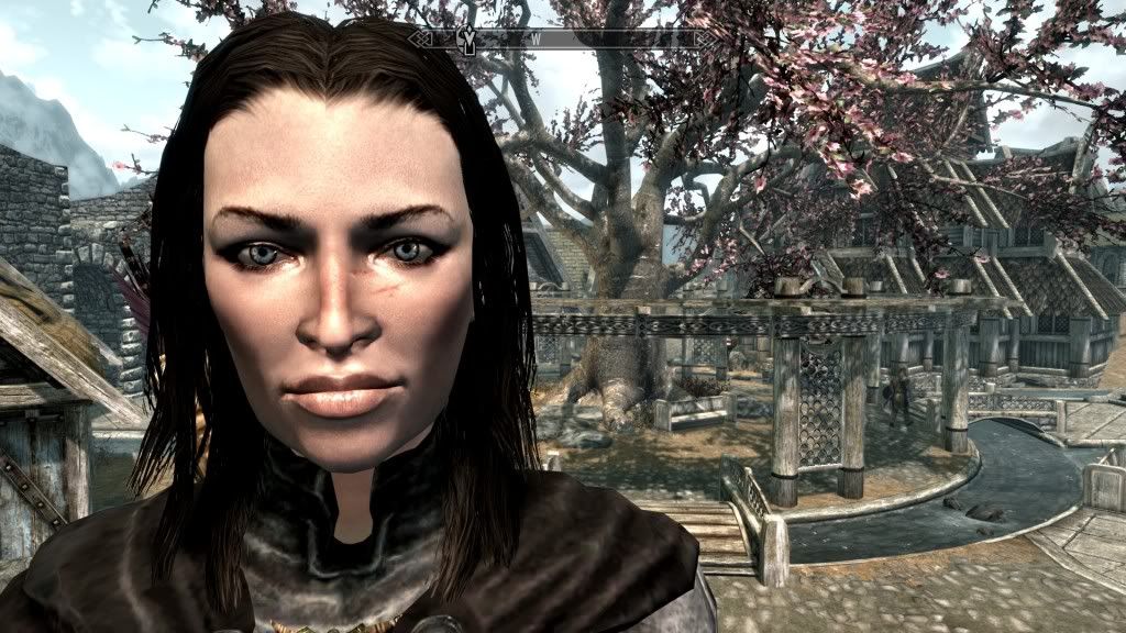 Face color settings (cheeks, chin, nose, forehead, ...) - Skyrim LE - Nexus Mods Forums